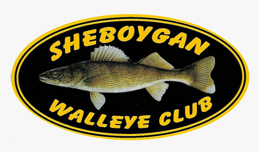 Swc Logo - Sea Bass, HD Png Download , Transparent Png Image - PNGitem