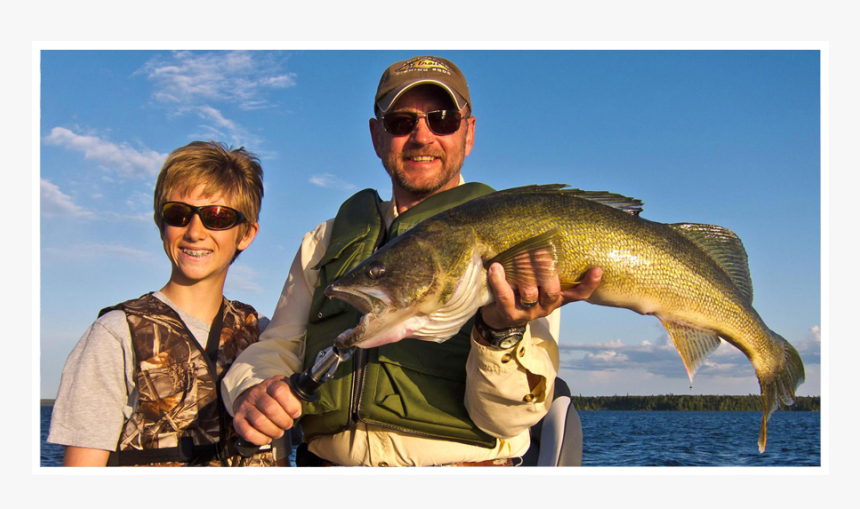 Pull Fish Out Of Water, HD Png Download , Transparent Png Image - PNGitem