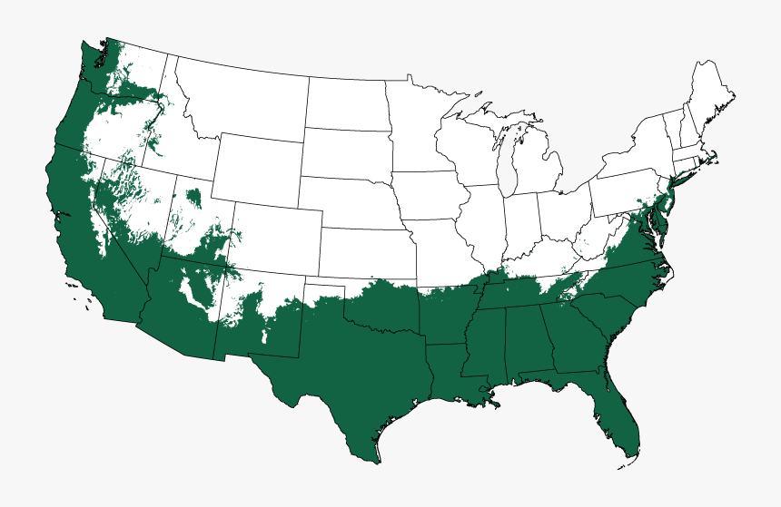 Aunt Pronunciation Map, HD Png Download , Transparent Png Image - PNGitem