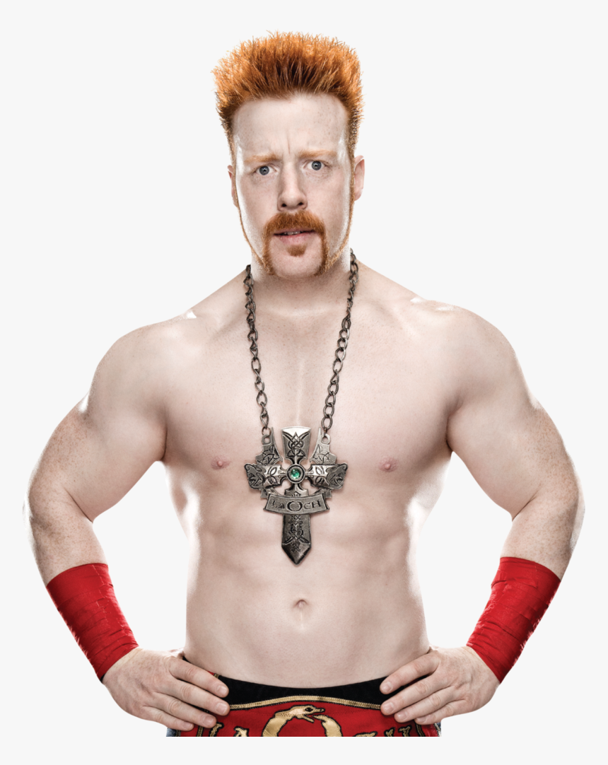Sheamus Png Image Background - Wwe Sheamus Png 2012, Transparent Png ...