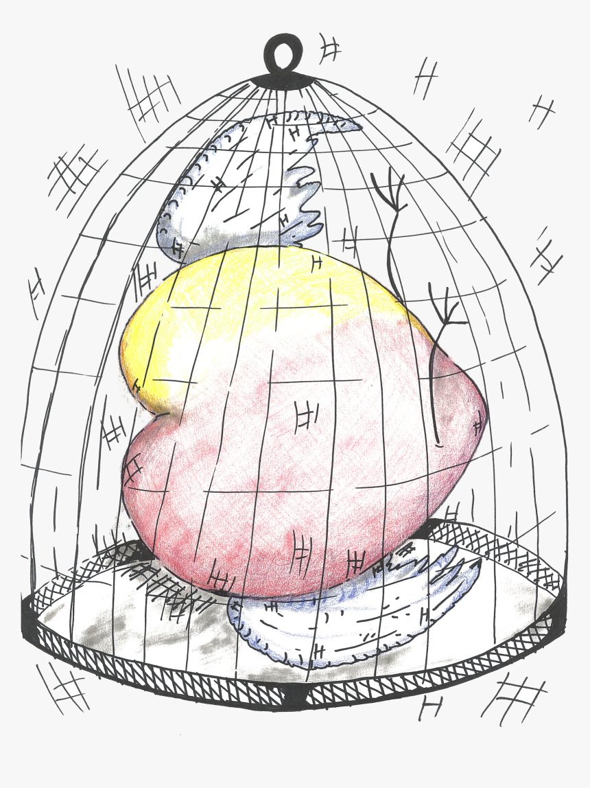 Caged Heart - Sketch - Sketch, HD Png Download , Transparent Png Image ...