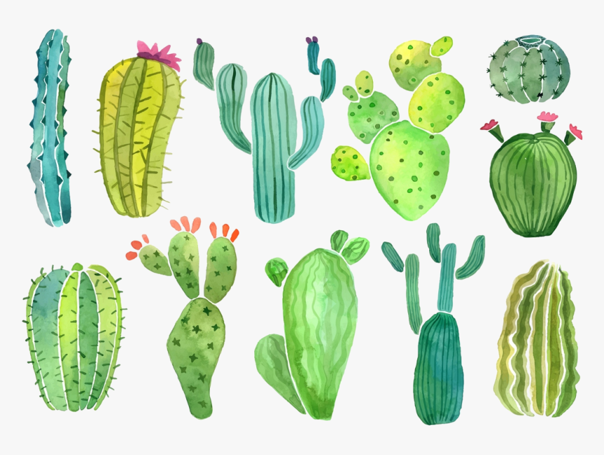 Cactus Clip Art Clipart Photo Transparent Png - Cacti And Succulents ...