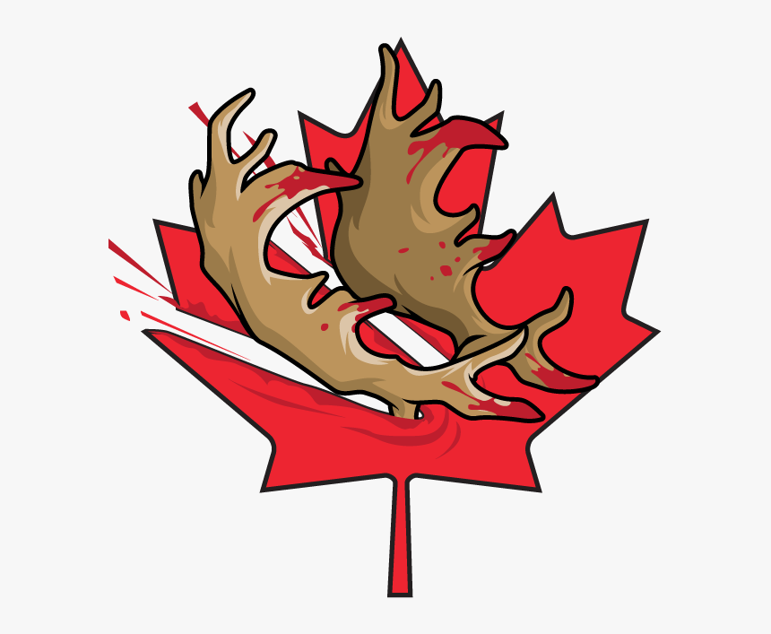 Canada Transparent Png Maple Leafs, Png Download , Transparent Png ...