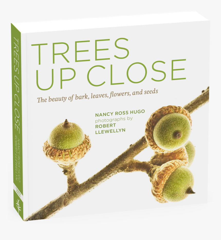 Cover - Trees Up Close: The Beauty Of Their Bark, Leaves, Flowers,, HD ...