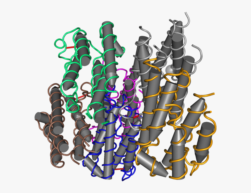 1rh2 Recombinant Human Interferon Alpha 2b 01 - Interferon Alpha 2b, HD ...