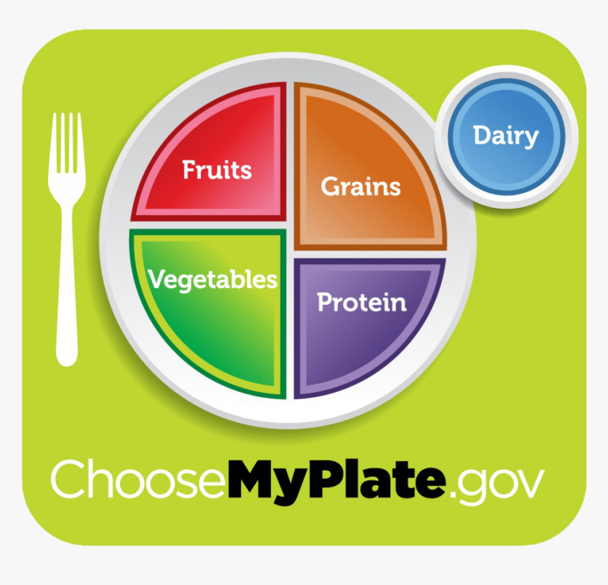 Food Pyramid Png, Transparent Png , Transparent Png Image - PNGitem
