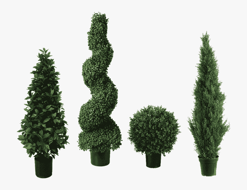Artificial Bay Cone Topiary Tree , Png Download - Topiary Png ...
