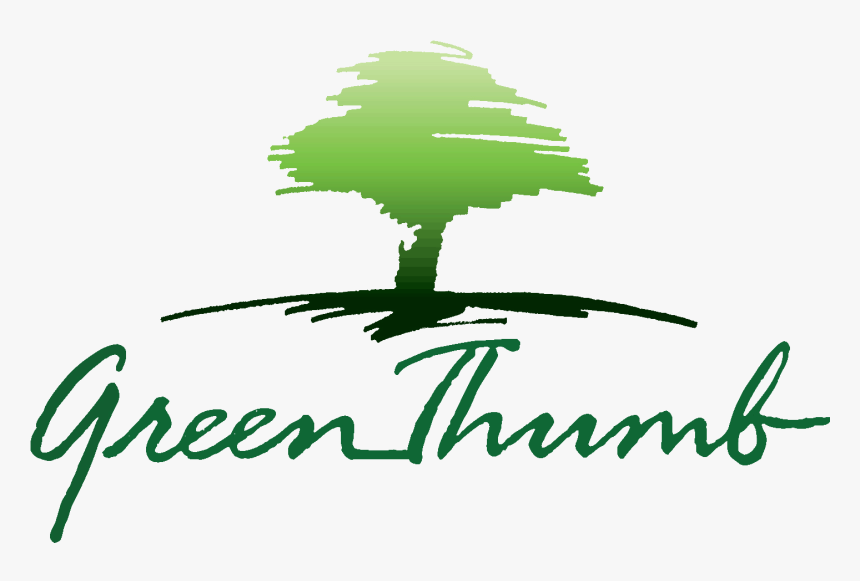 Green Tree Logo Png - Tree Logo Clipart, Transparent Png , Transparent ...