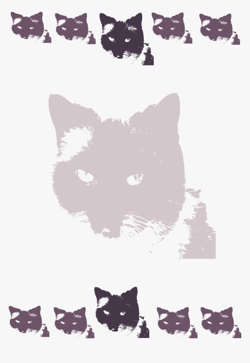 Transparent Skin Texture Png - Design, Png Download , Transparent Png ...