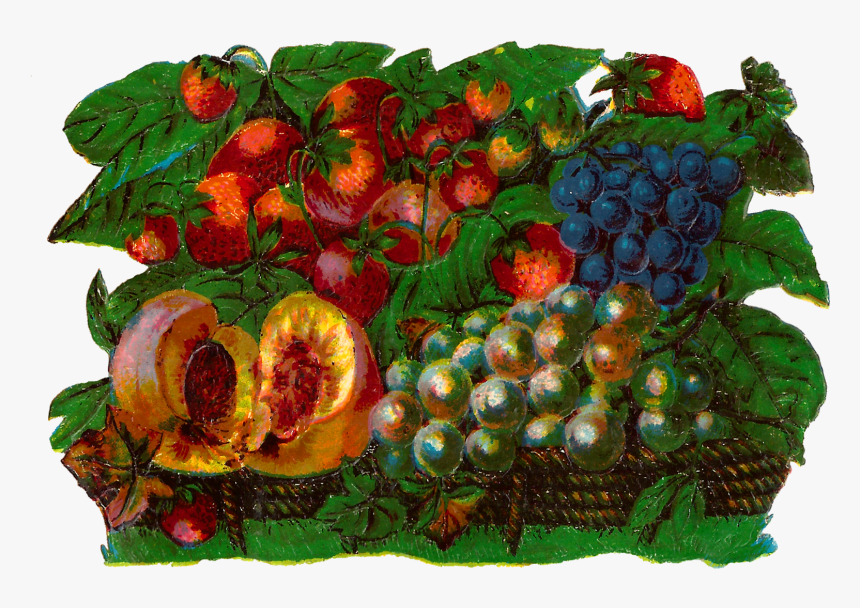 Portable Network Graphics, HD Png Download , Transparent Png Image ...