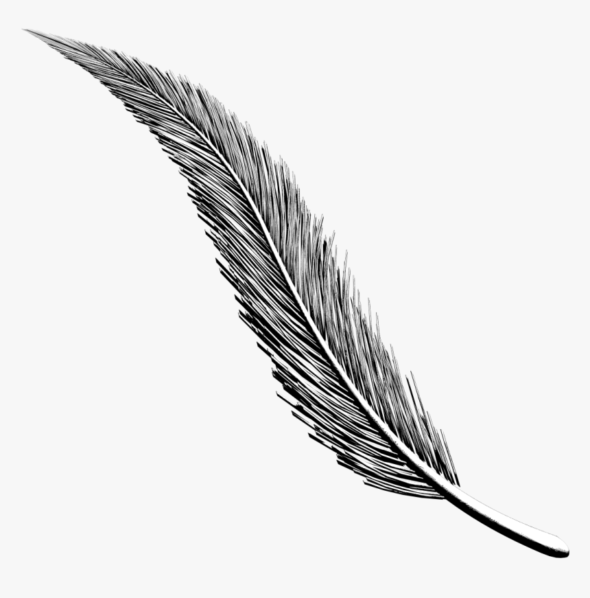 Art Project Diary Working - Feather Design For Project, HD Png Download ...