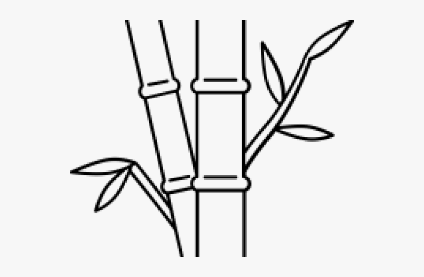 Drawn Bamboo Bamboo Stick - Line Art, HD Png Download , Transparent Png ...