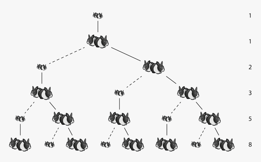 Fibonacci Puzzle Of Rabbits, HD Png Download , Transparent Png Image ...