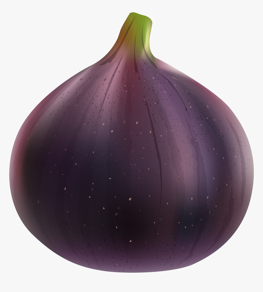 Fig Fruit Clipart, HD Png Download , Transparent Png Image - PNGitem