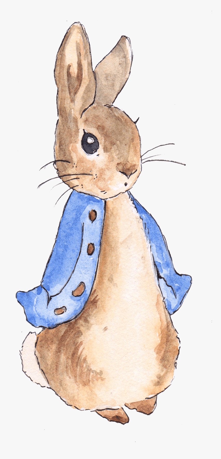 Peter Rabbit Png Free Library - Peter Rabbit, Transparent Png ...