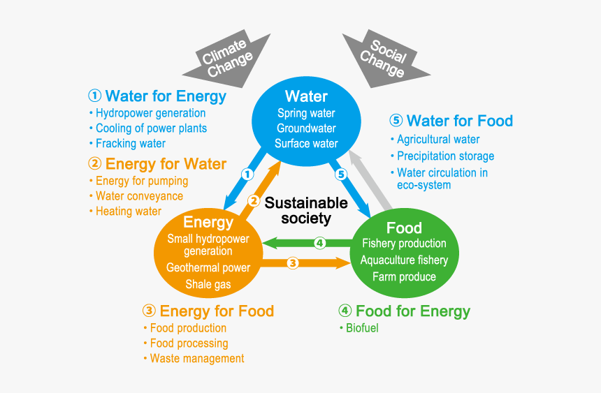 Role Of Water In Food Processing, HD Png Download , Transparent Png ...
