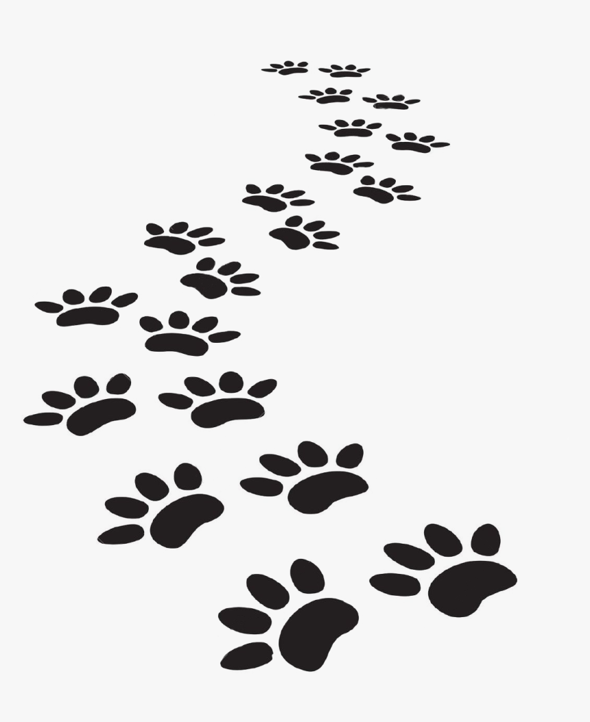 Paw Print Trail Png, Transparent Png , Transparent Png Image - PNGitem