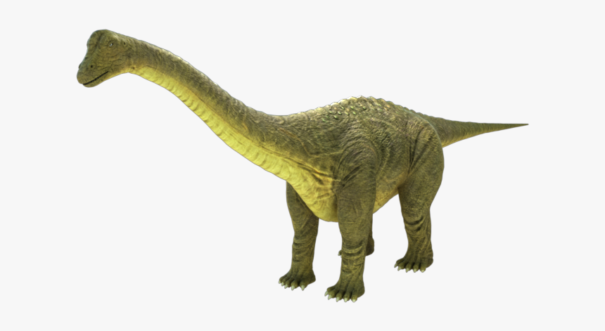 Dinosaur Png Brontosaurus Real, Transparent Png , Transparent Png Image ...