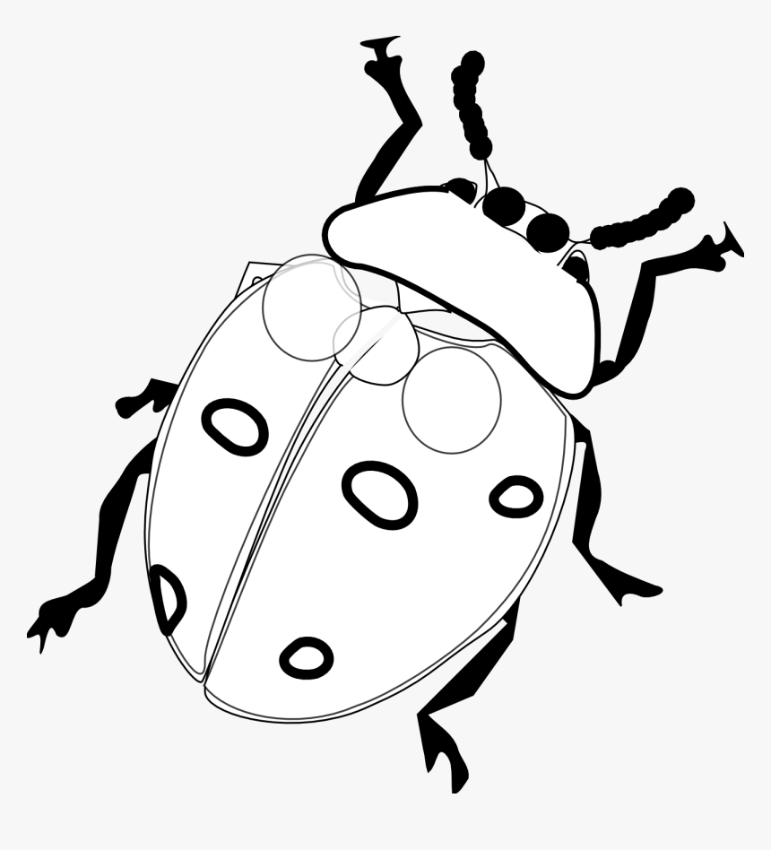 Black And White Ladybug Clipart - Black And White Ladybug Line Drawing ...