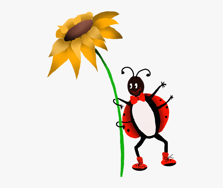 Ladybug Clipart Spring, HD Png Download , Transparent Png Image - PNGitem