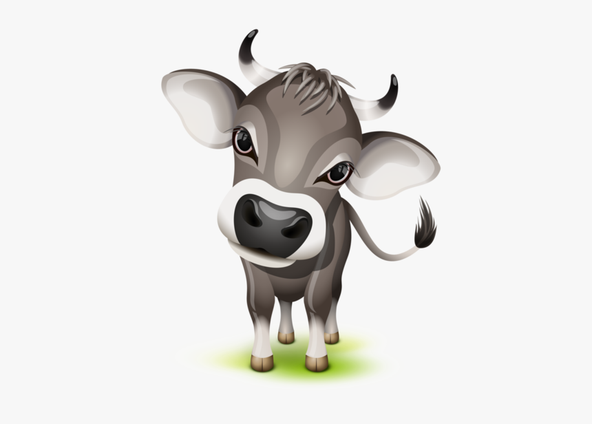 Beef Cow Vector