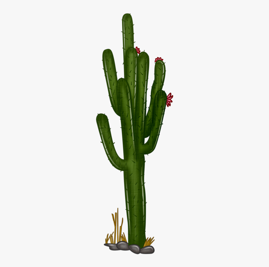 Saguaro Cactus Clipart