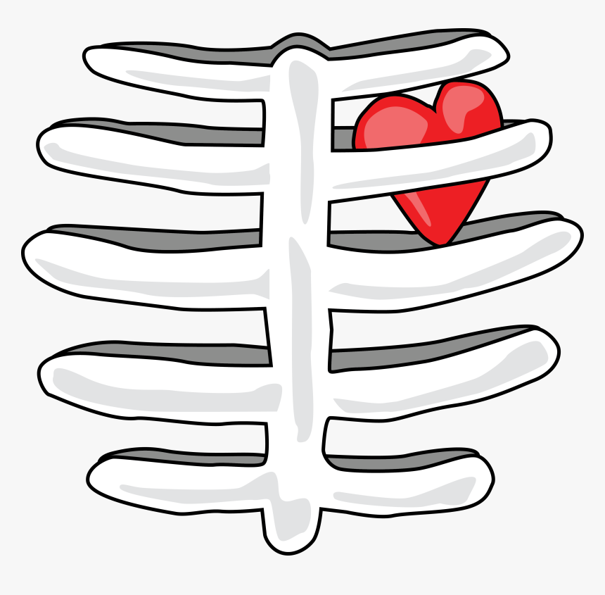 Rib Cage Heart Drawing Clipart