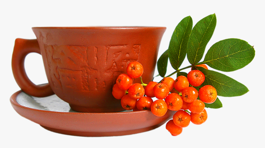 Red Tea And Cup - Coffee Cups, HD Png Download , Transparent Png Image ...