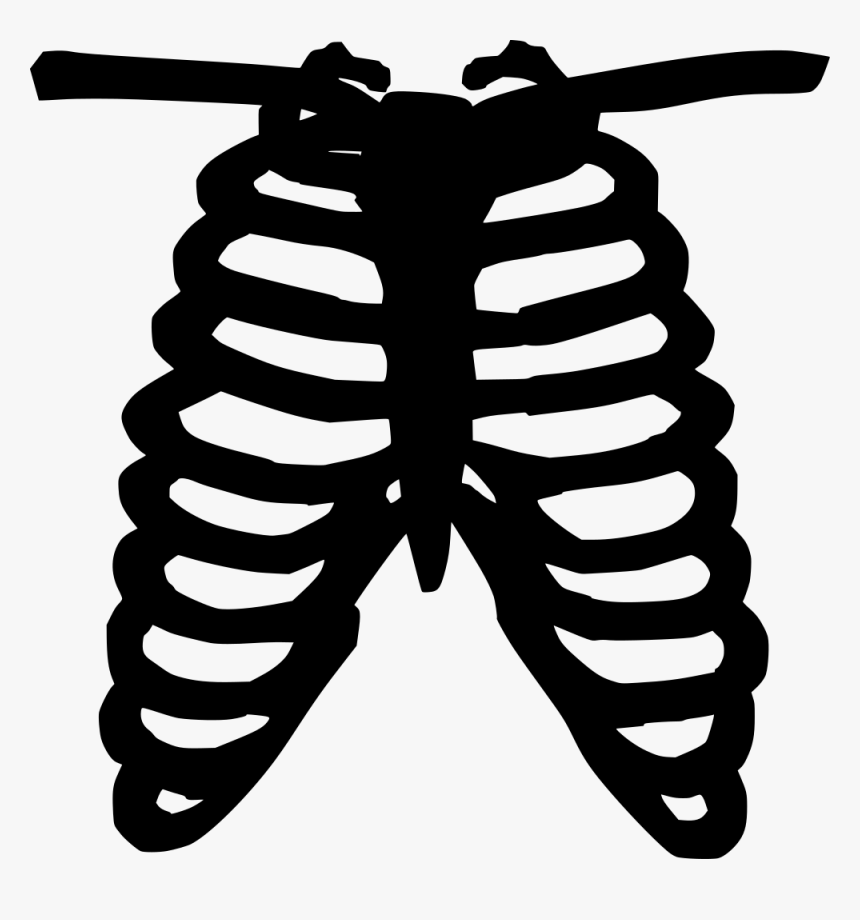 Chest Bone Clip Art, HD Png Download , Transparent Png Image - PNGitem