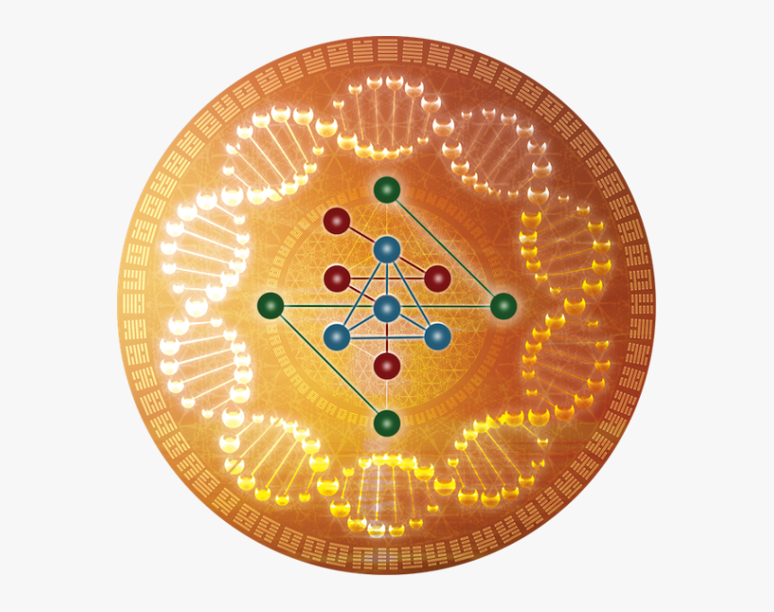 Transparent Golden Circle Png - Gene Keys, Png Download , Transparent ...