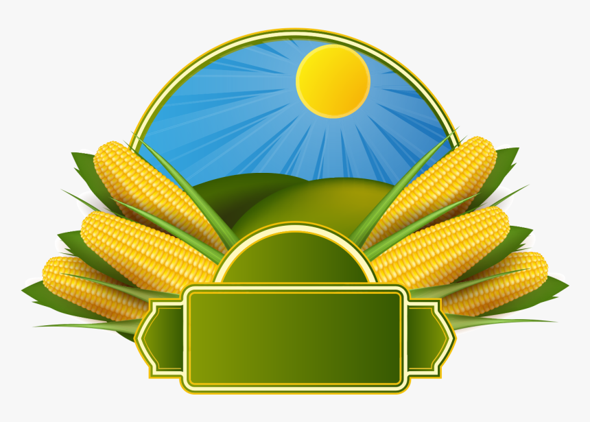 Corn Background Design
