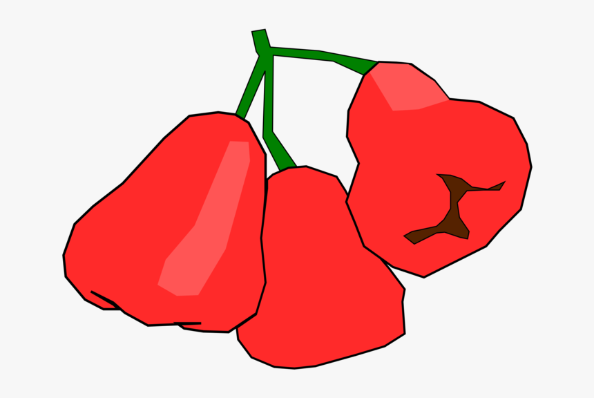 Plant,flower,area - Jambu Clipart, HD Png Download , Transparent Png ...