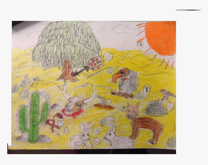 Desert Biome Drawings