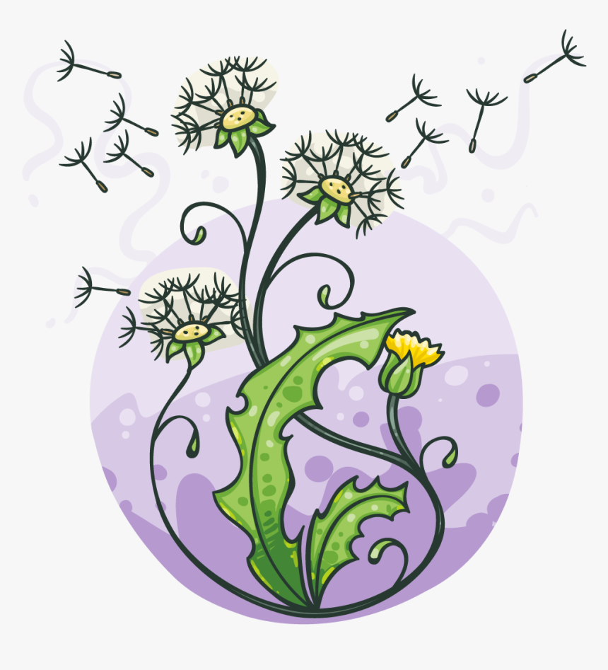 Transparent Dandelions Png - Illustration, Png Download , Transparent ...