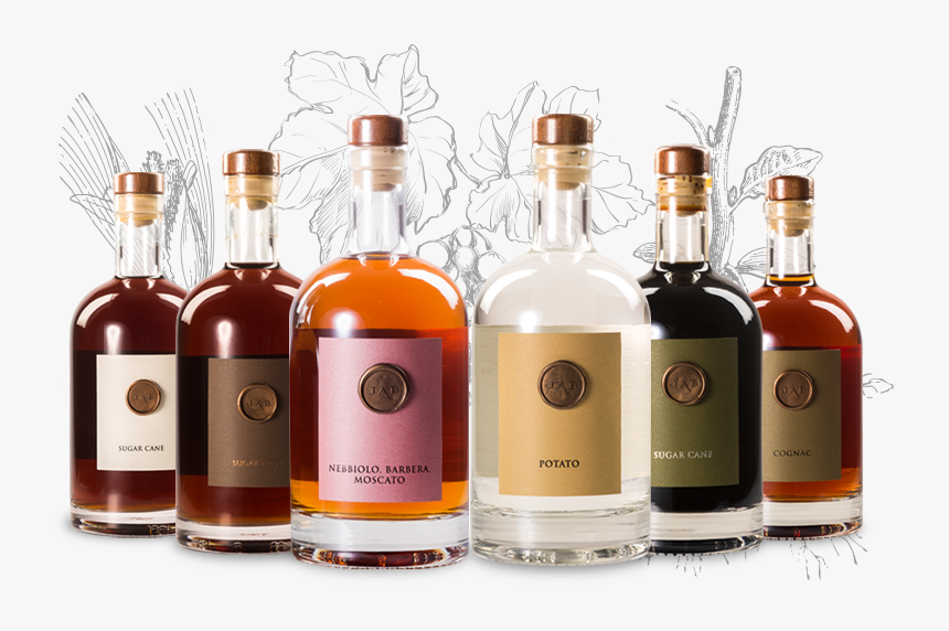 Botanical Spirits, HD Png Download , Transparent Png Image - PNGitem