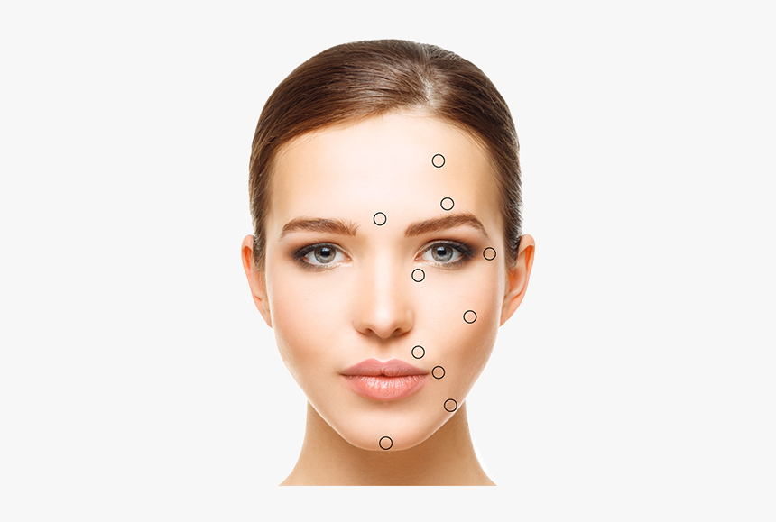 Puntos De Referencia Para Los Tratamientos Faciales, HD Png Download ...