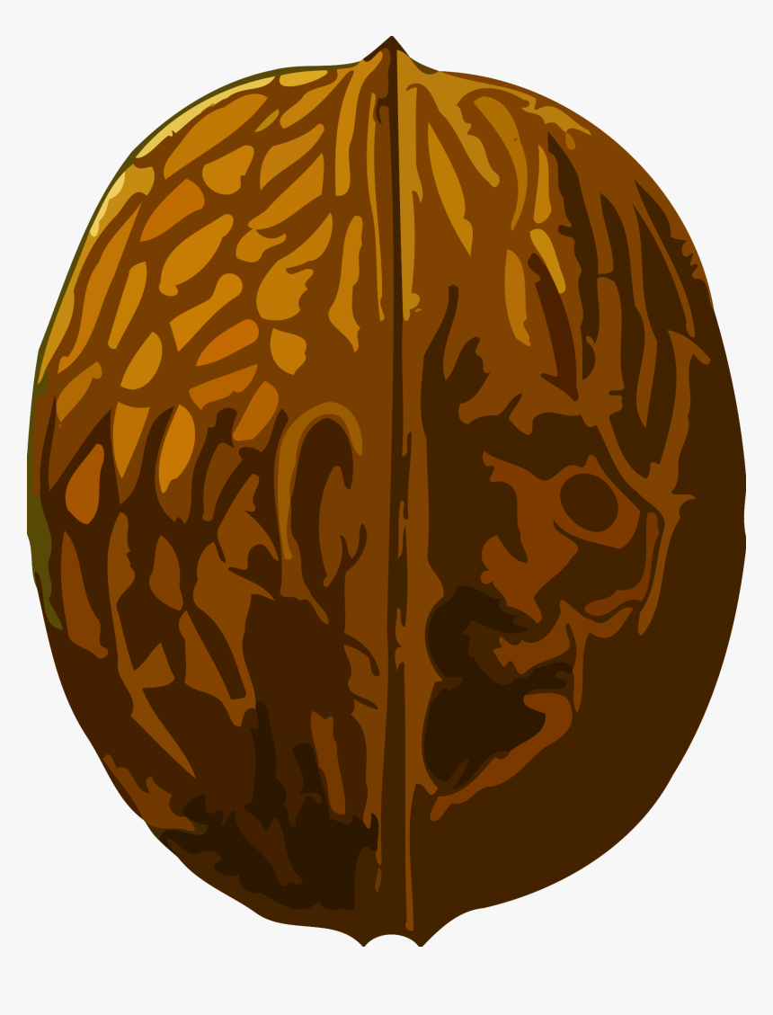 Walnut Clip Arts - Walnut Clipart, HD Png Download , Transparent Png ...
