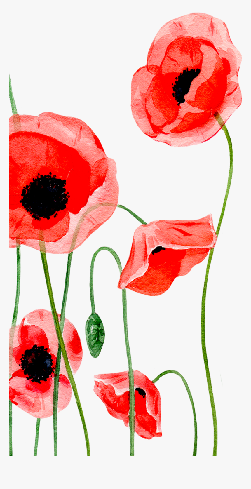 Poppy Clipart Single Poppy - Iphone, HD Png Download , Transparent Png ...