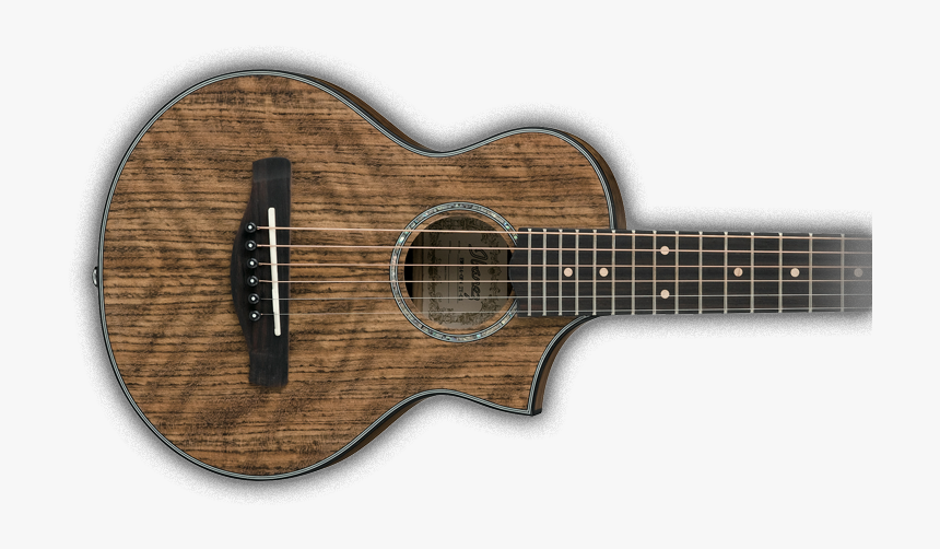 Ewp - Ibanez Ewp14, HD Png Download , Transparent Png Image - PNGitem