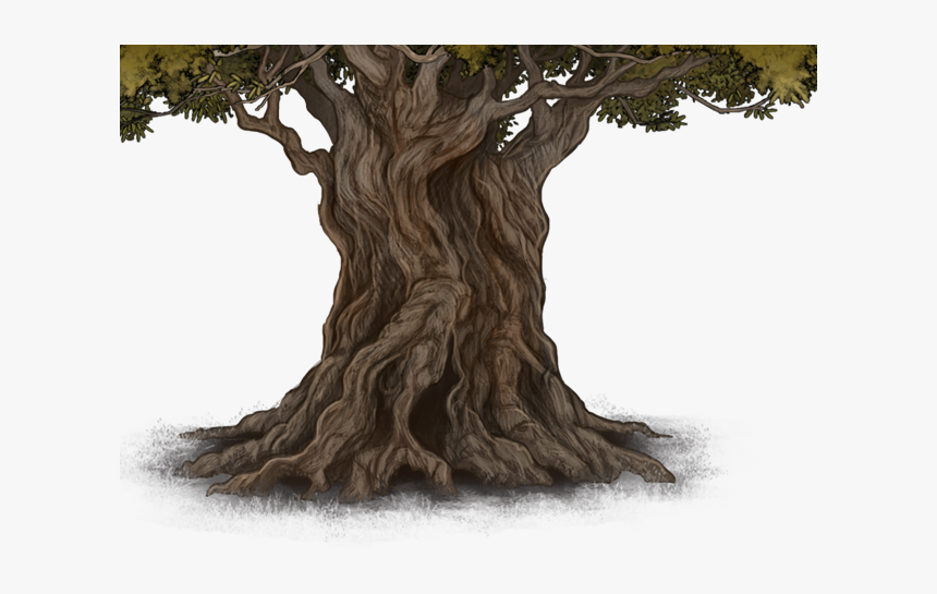 Root, HD Png Download , Transparent Png Image - PNGitem
