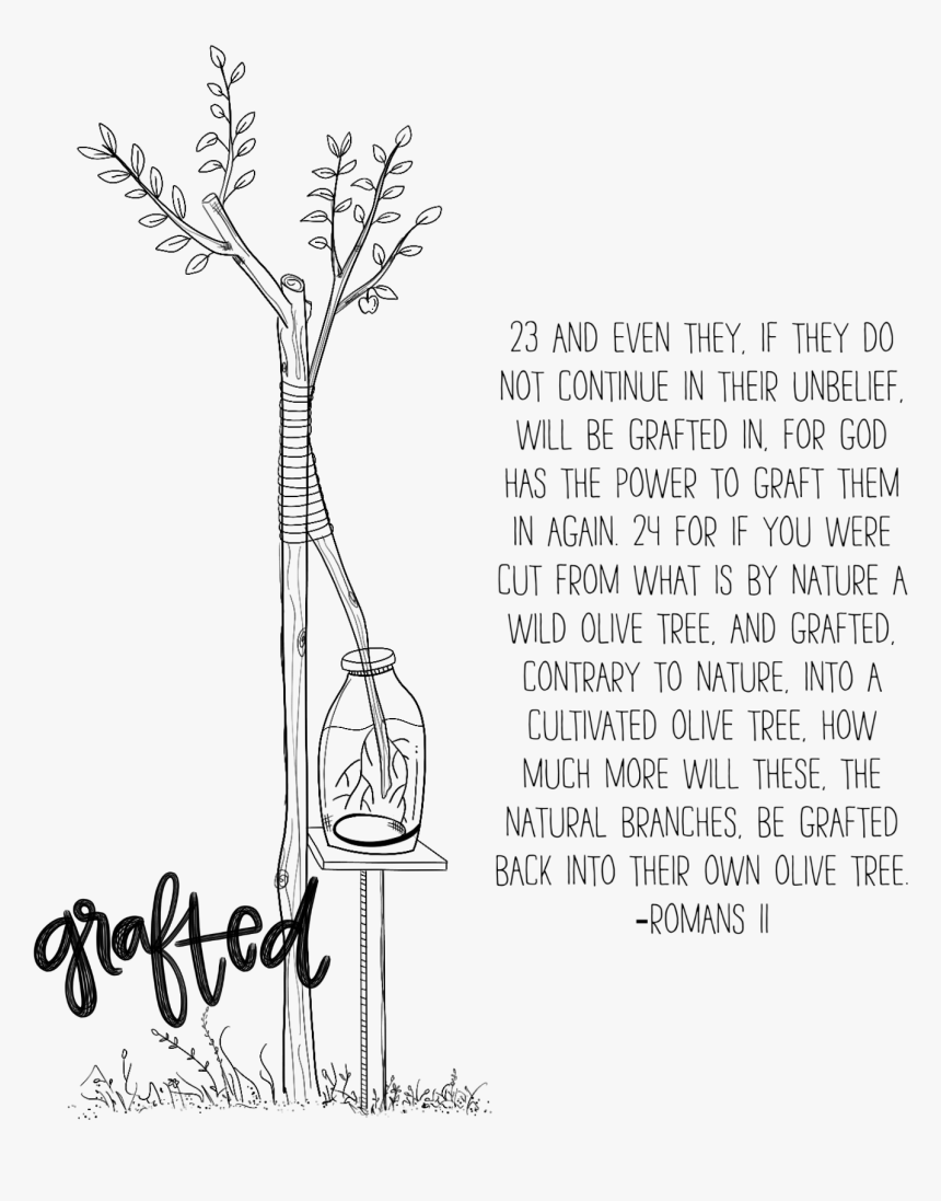 Wild Olive Tree Grafted In Cartoon , Png Download - Wild Olive Tree ...