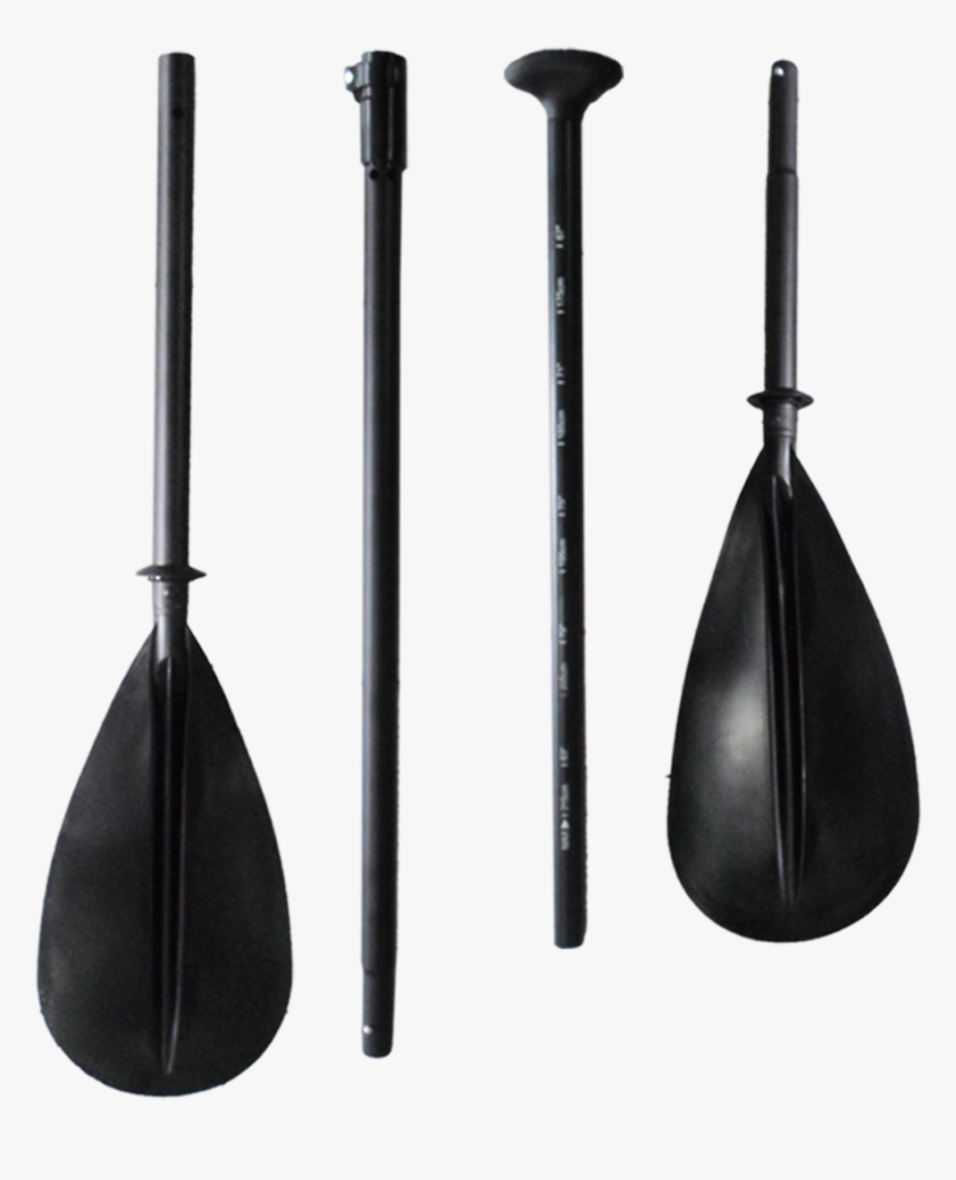 Paddle, HD Png Download , Transparent Png Image - PNGitem