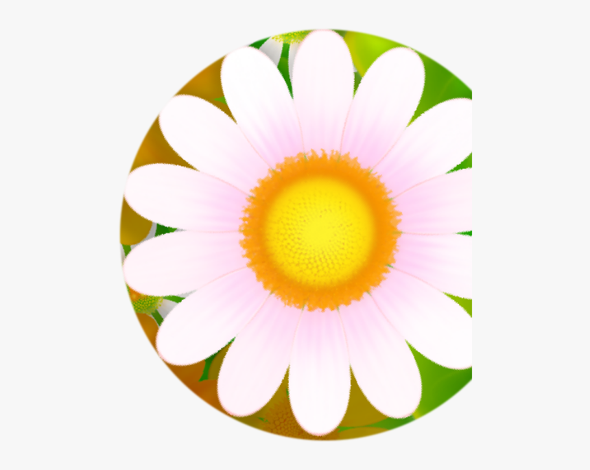 2d Flower Textures, HD Png Download , Transparent Png Image - PNGitem