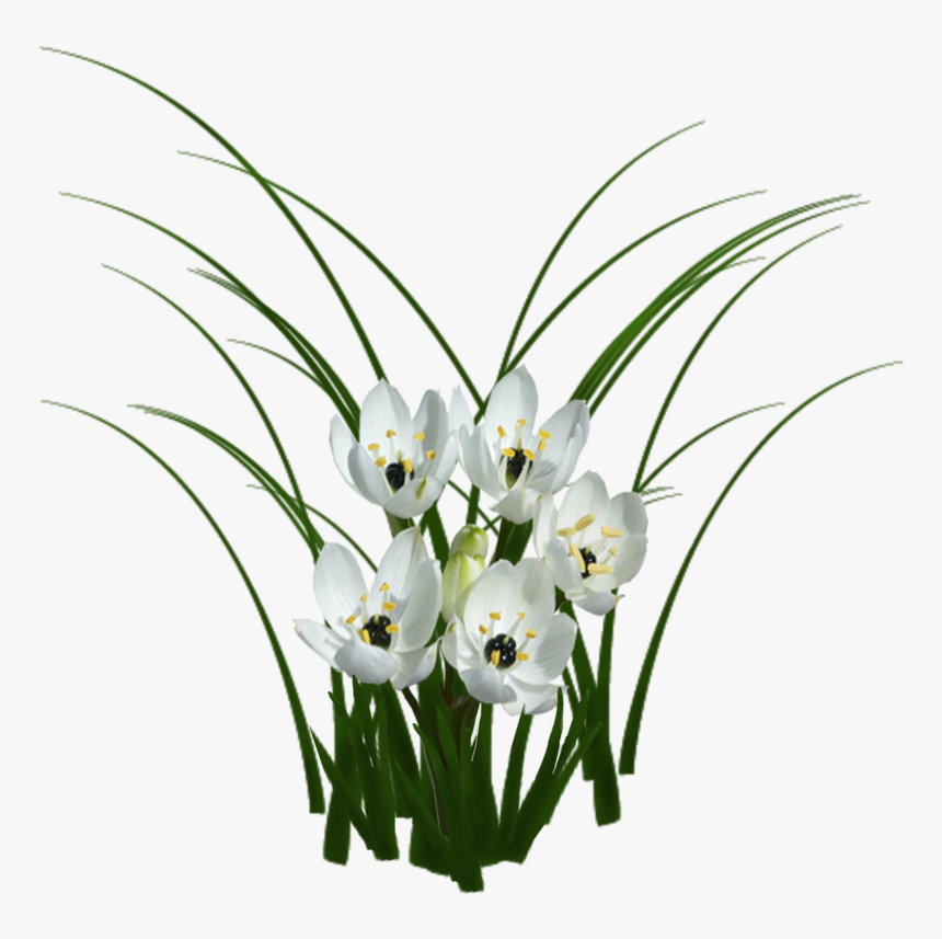 Com Sorted, Flowers Texture - Flower Texture Png, Transparent Png ...