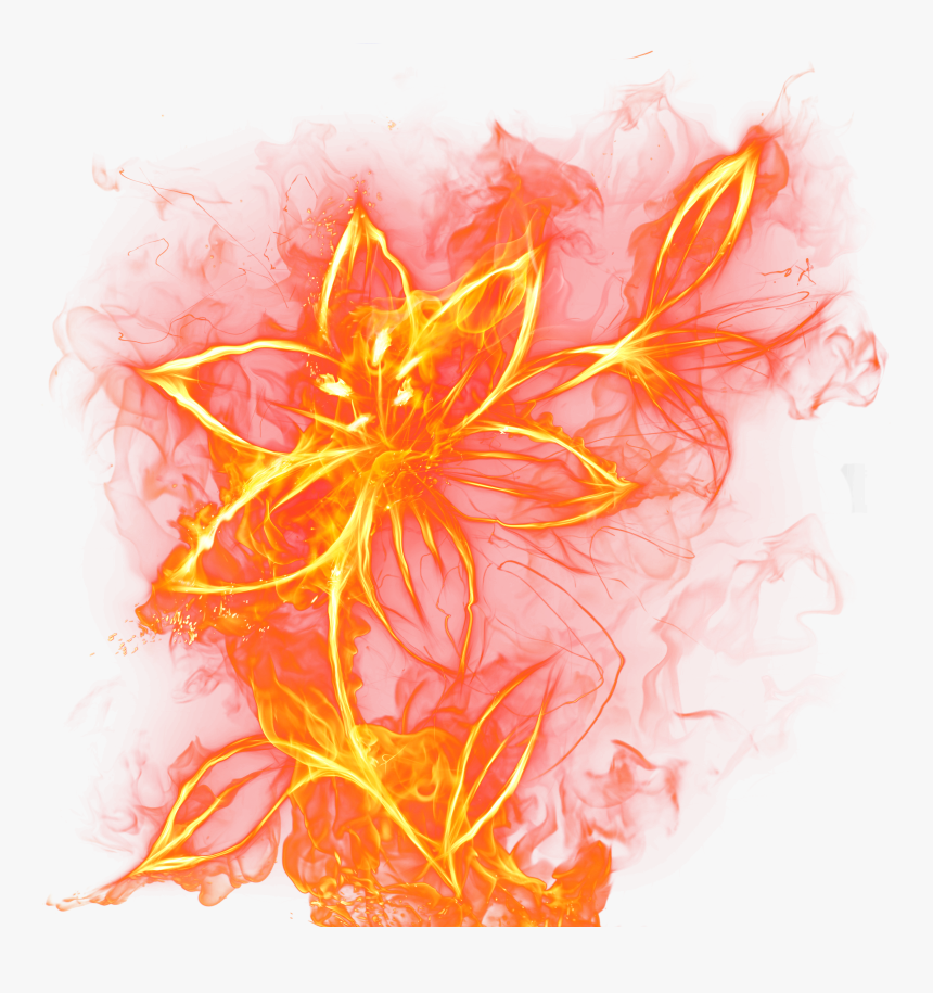 Beautiful Flower Png Picture - Fire Rose Png, Transparent Png ...