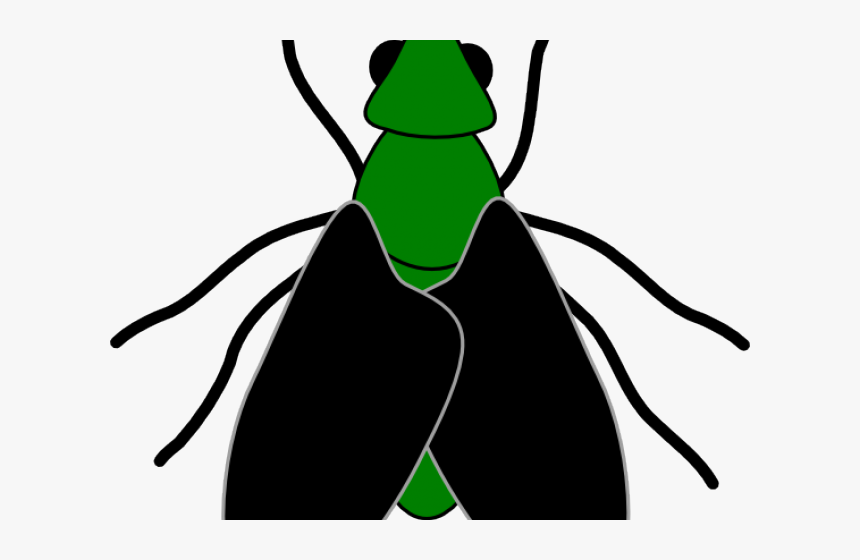 Fly Clipart Bug - Insect Clip Art, HD Png Download , Transparent Png ...