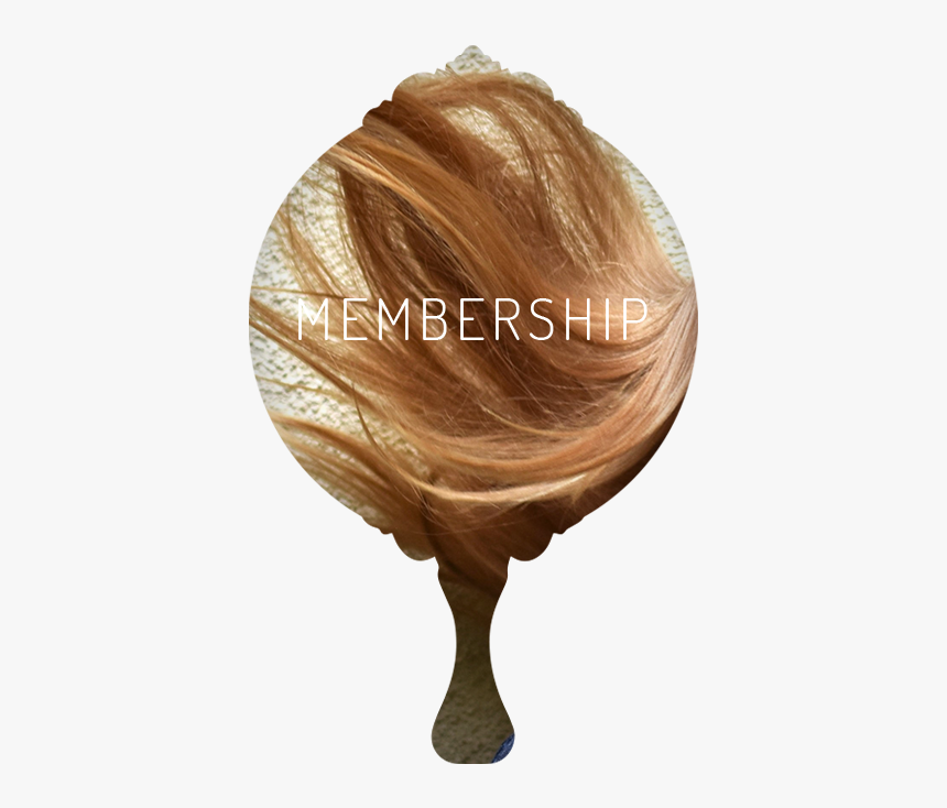 Membership, HD Png Download , Transparent Png Image - PNGitem
