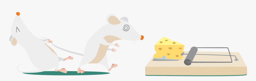 Trap With Generic Mice - Mousetrap, HD Png Download , Transparent Png ...