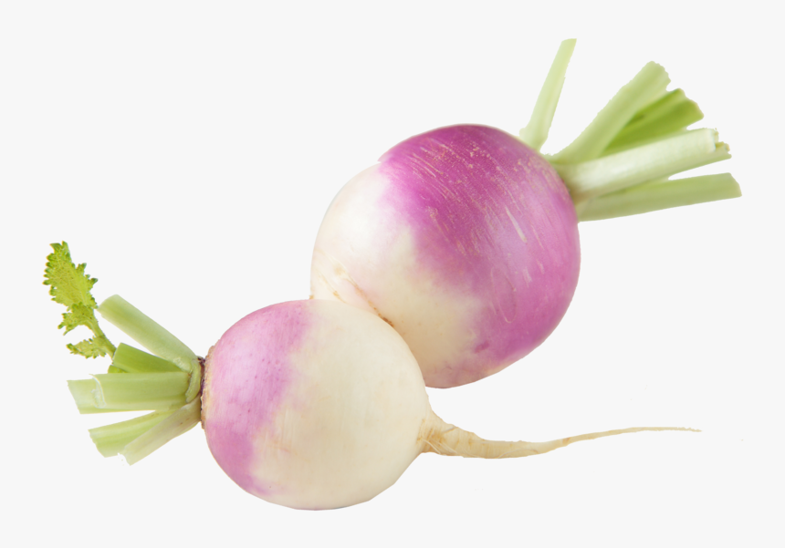 Turnip - Shalgam Ki, HD Png Download , Transparent Png Image - PNGitem