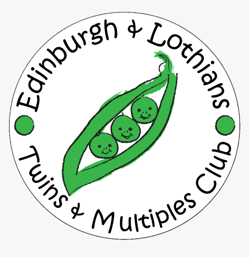 Download - Florida Office Of Early Learning, HD Png Download ...